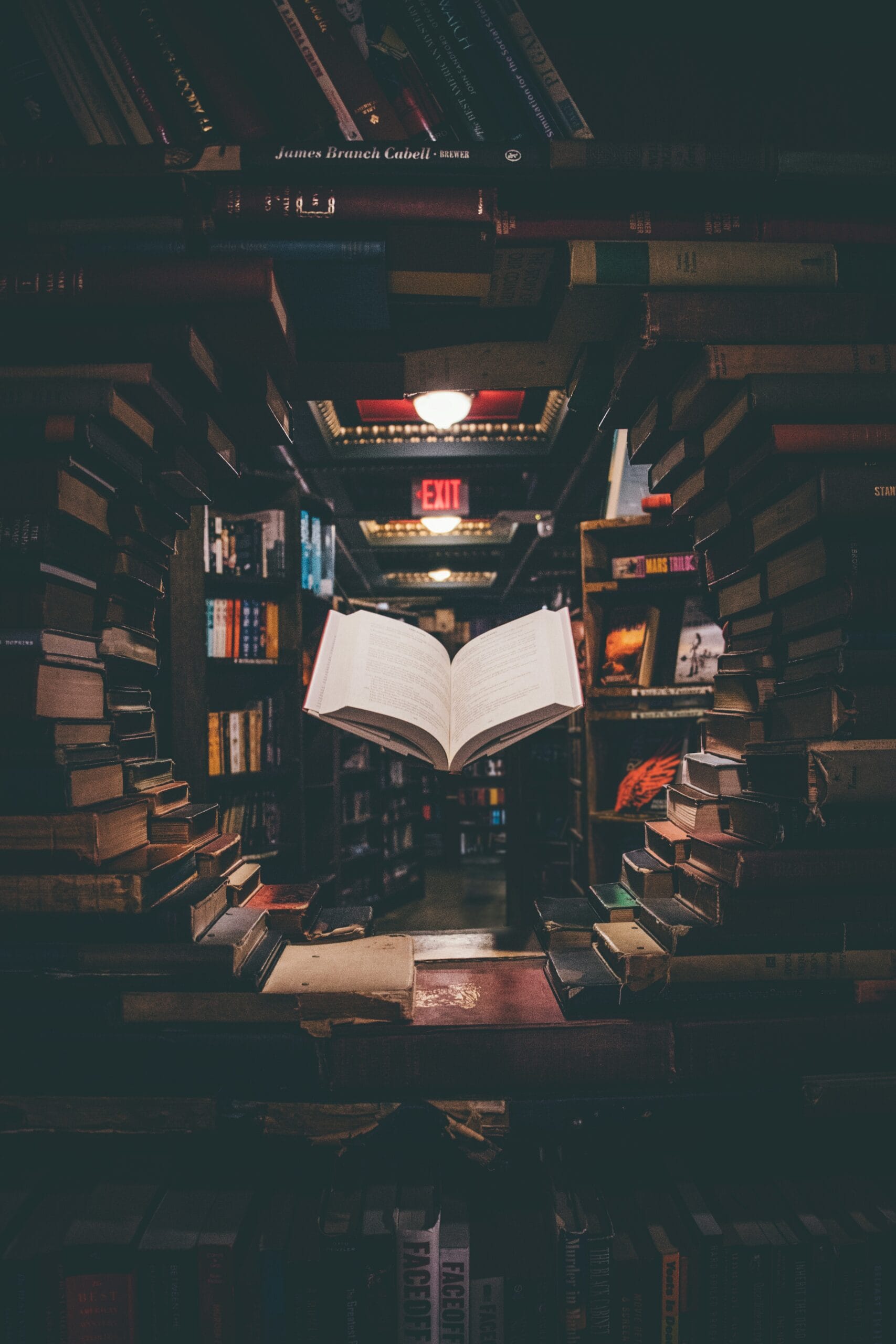 tpsg. Publishing - The Rise of Autofiction: Blurring the Lines Between ...